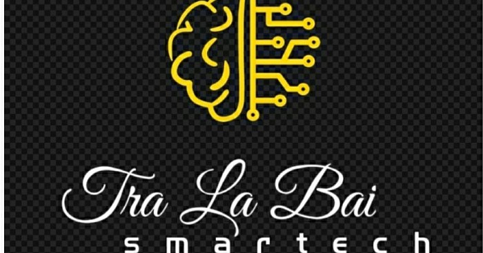 Tra La Bai Smartech, LLC..."Media Room & Security Cameras"